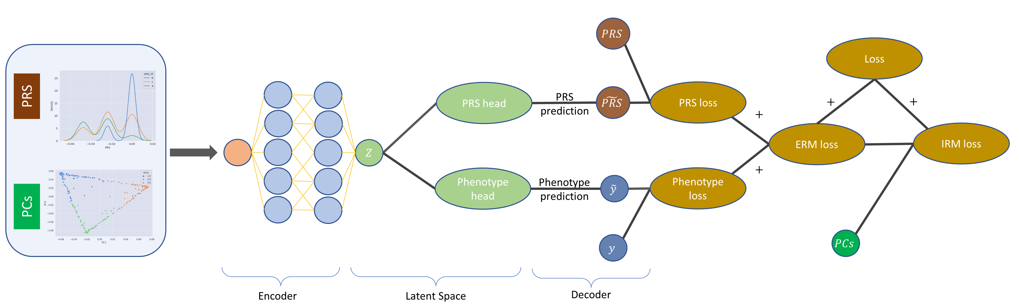 Diego Machado - Personal Website